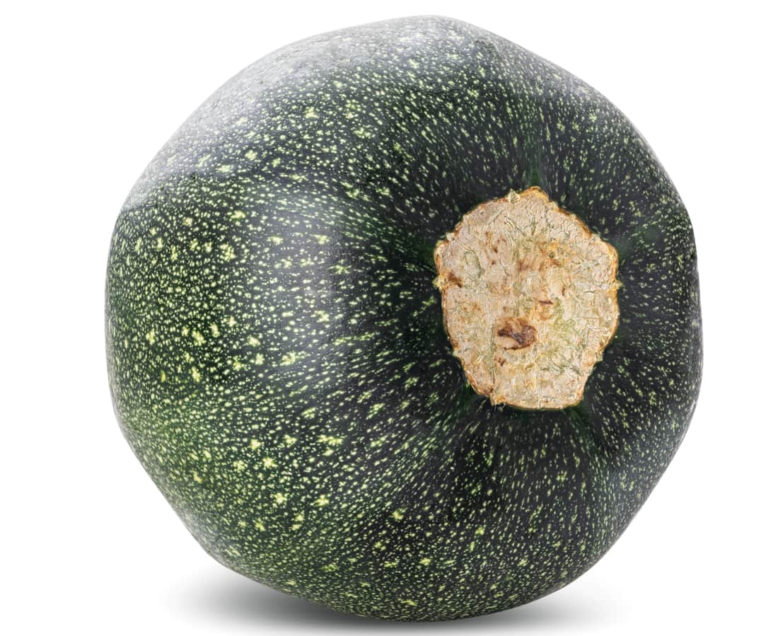 Gem Squash, 1 Pc. — AubergineFoods CA